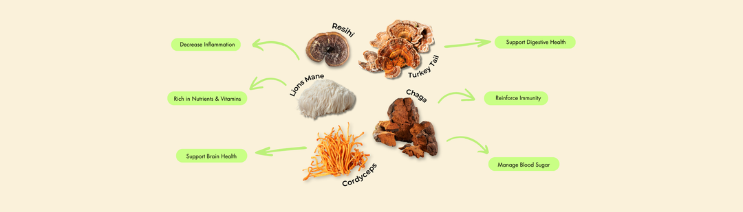 Adaptogenic Mushrooms · noorish foods